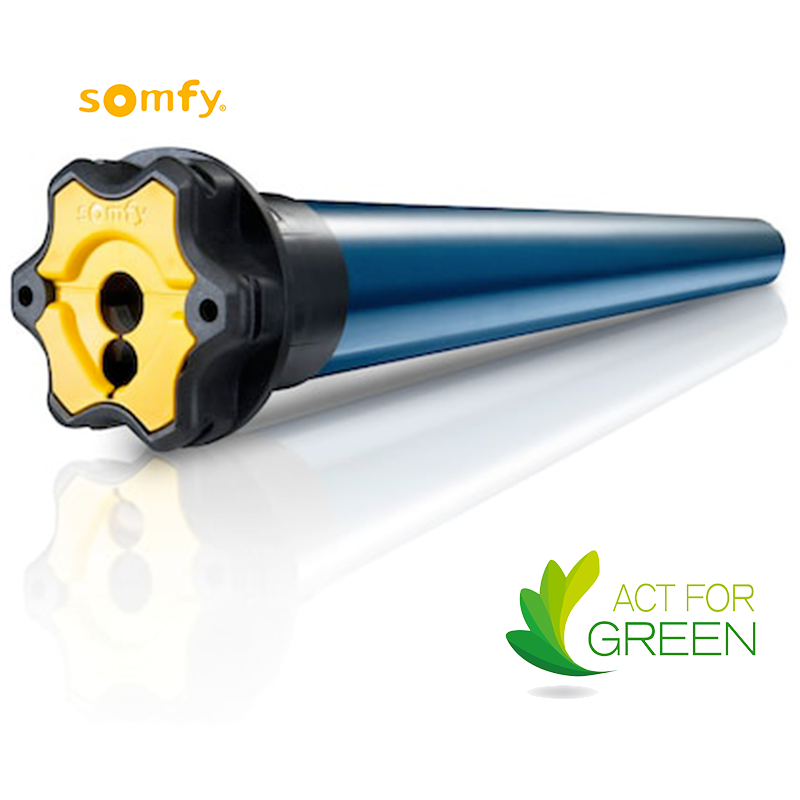 Somfy RS100 IO Motor Kit